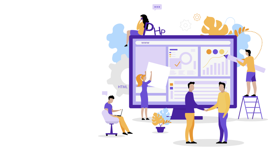 Web Development - Seenau Digital